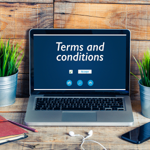 Terms - Alamby Fashion